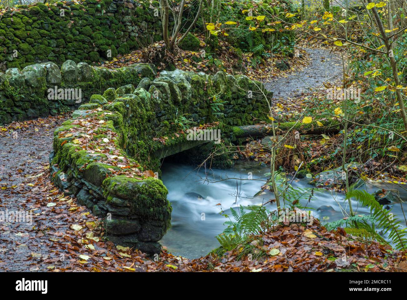 Pathway to lake windermere hi-res stock photography and images - Alamy
