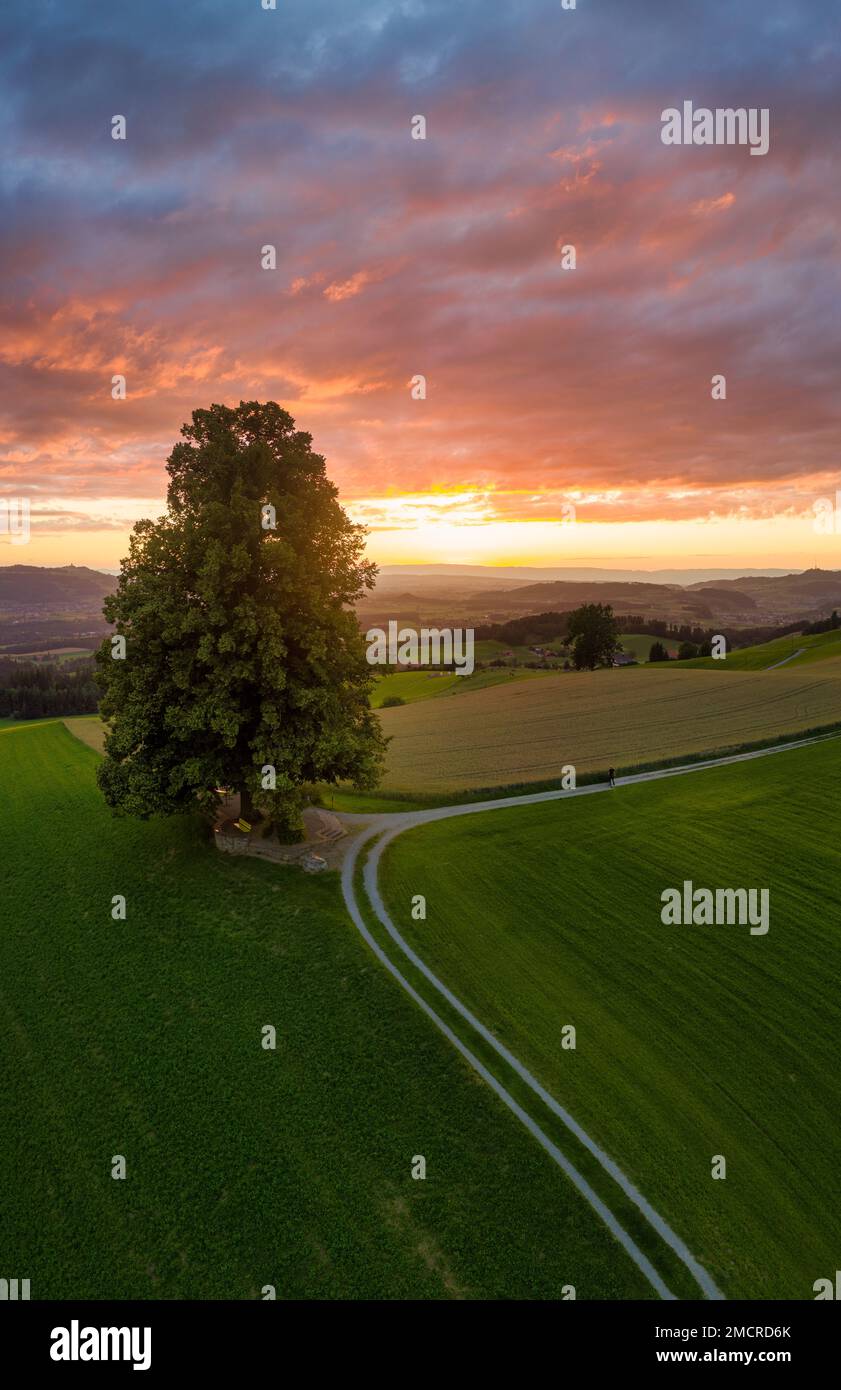 Swiss wheat field hi-res stock photography and images - Alamy