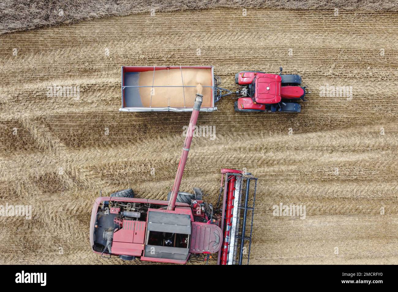 Drone view of the pier loading grain from a combine into a grain truck ...