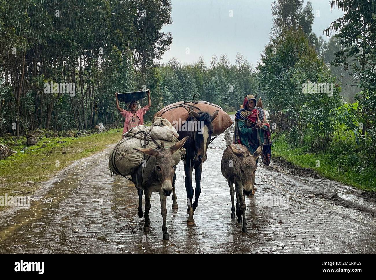 FILE - Villagers leave their homes in the rain, carrying their ...