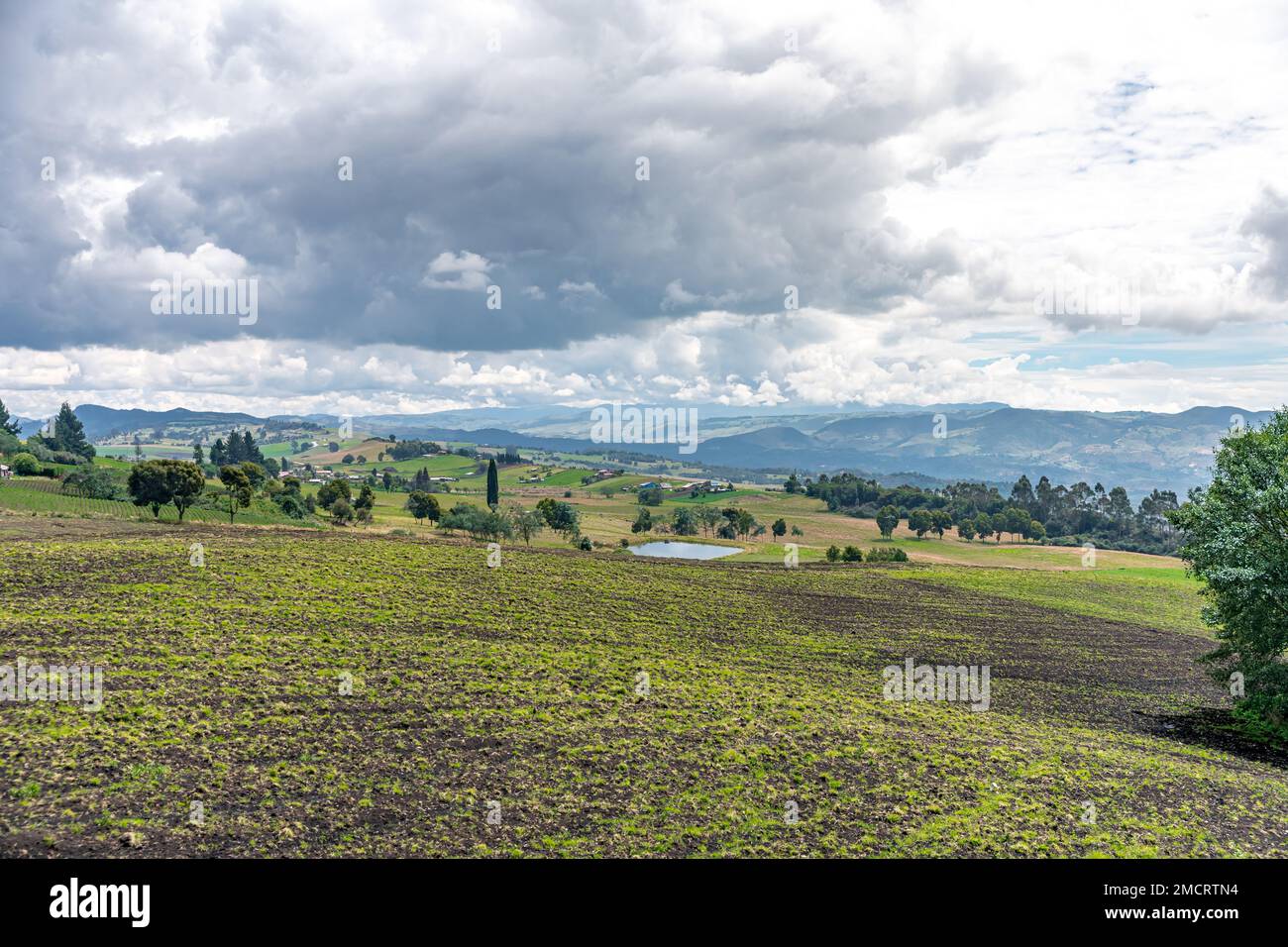 forests and mountains in the beautiful Colombian nature Stock Photo - Alamy