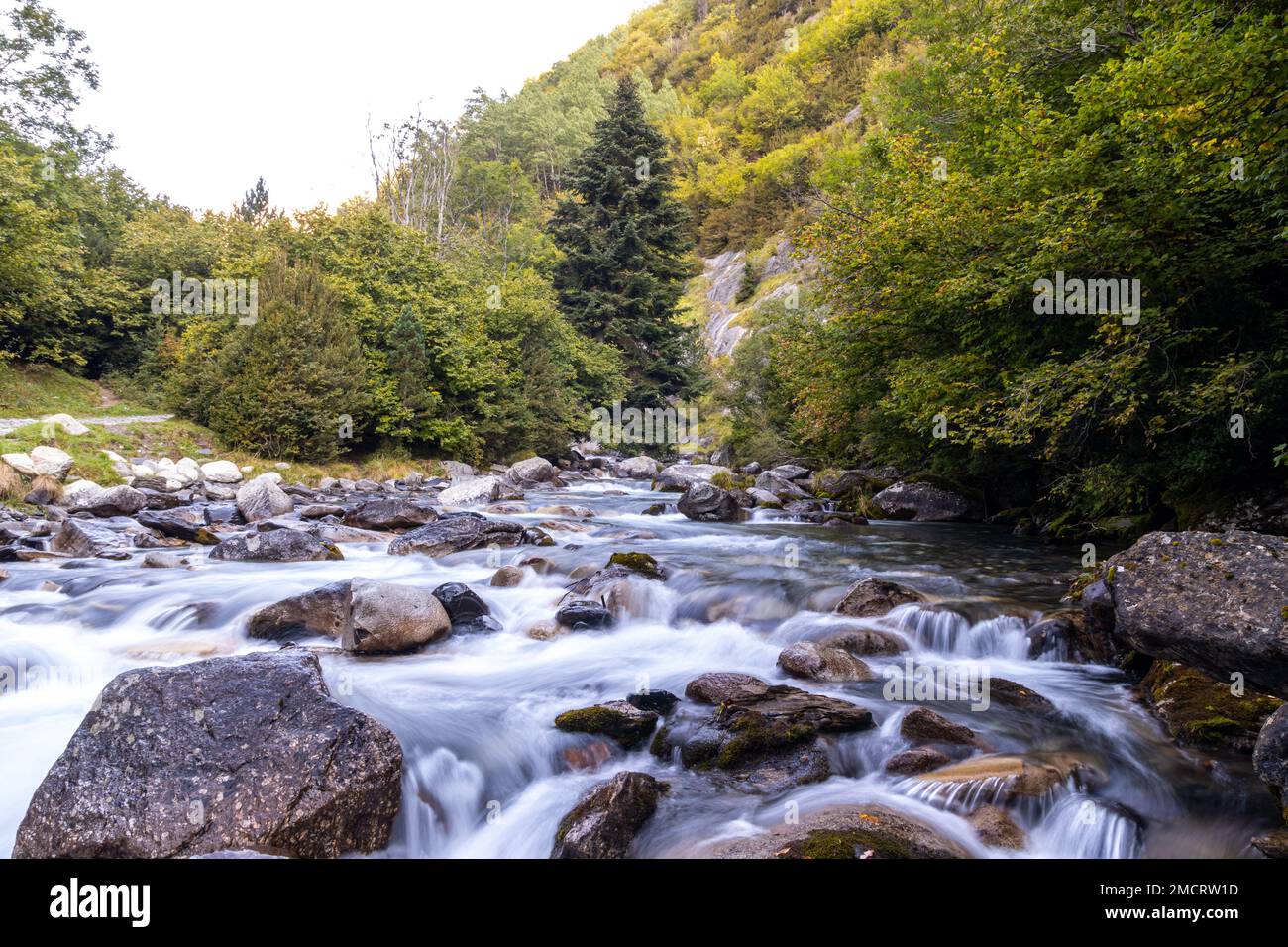 high mountain river with close-up of rocks and flowing water with green ...
