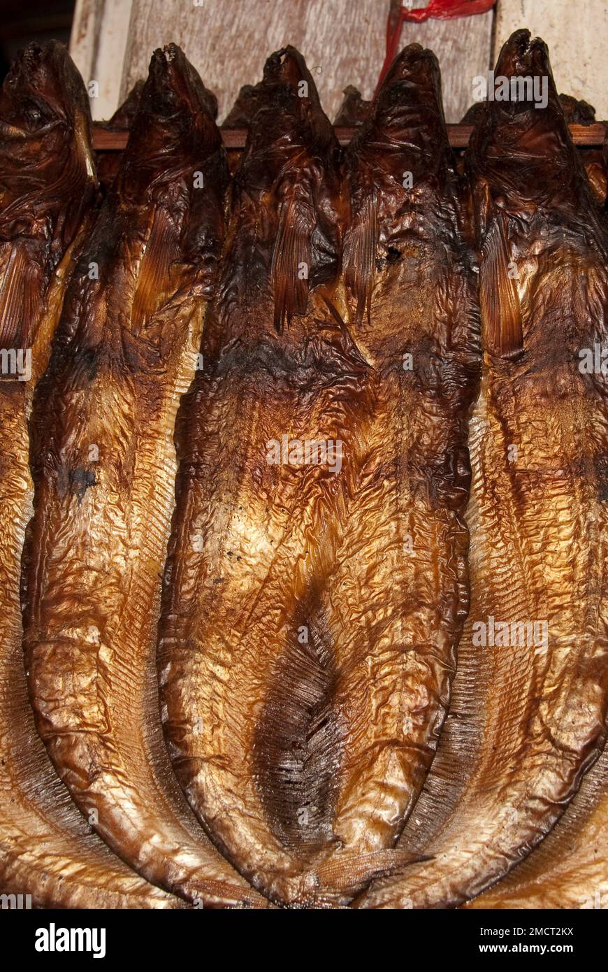 Dried fish in indoor market, Siem Riep, Cambodia Stock Photo - Alamy
