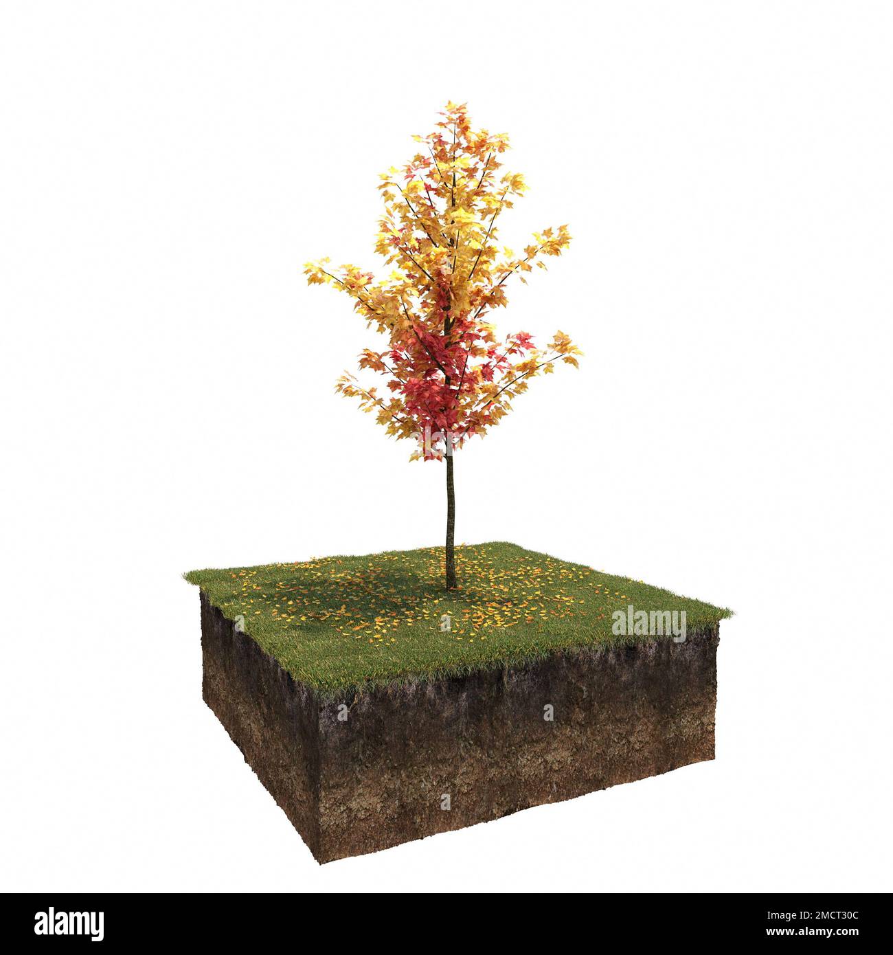Autumn tree and soil cut under it. Isolated garden element, 3D ...