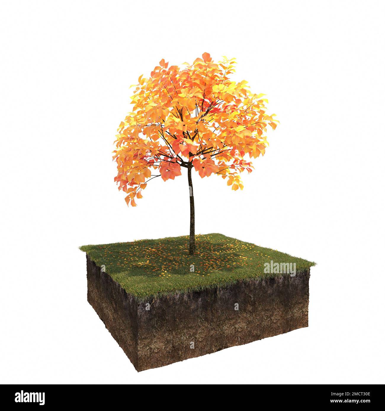 Autumn tree and soil cut under it. Isolated garden element, 3D ...