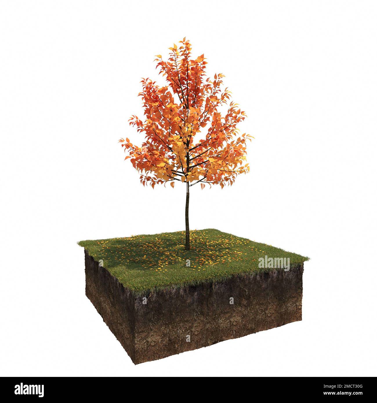 Autumn tree and soil cut under it. Isolated garden element, 3D ...