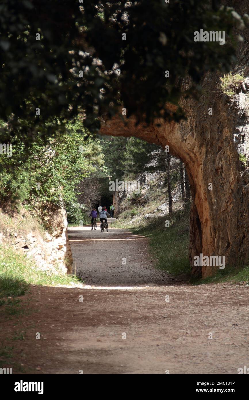 A vertical shot of an alley through the park with people Stock Photo ...