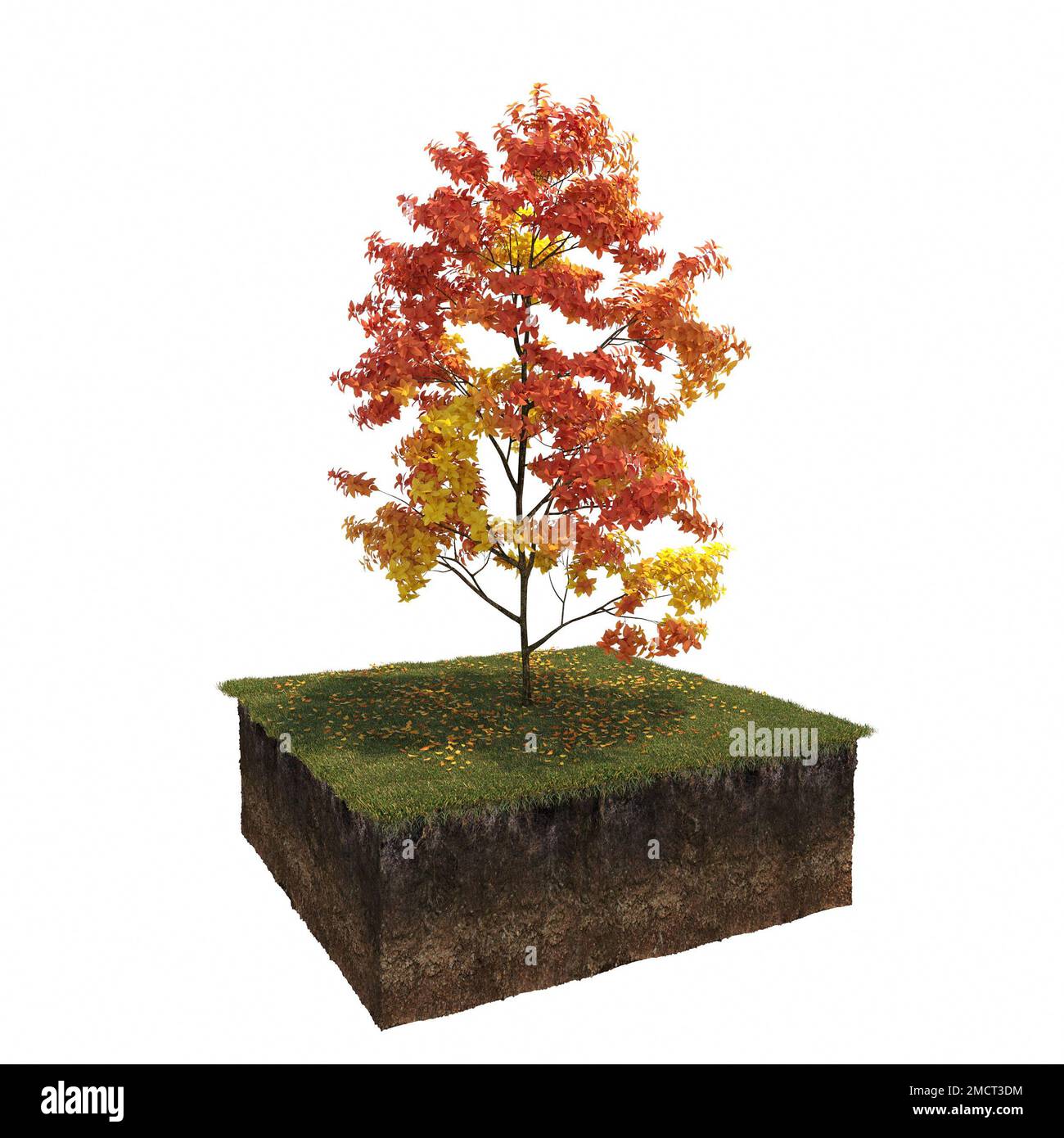 Autumn tree and soil cut under it. Isolated garden element, 3D ...