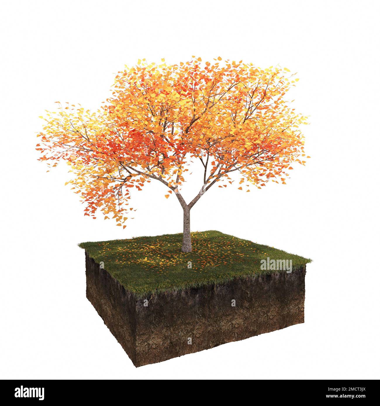 Autumn tree and soil cut under it. Isolated garden element, 3D ...