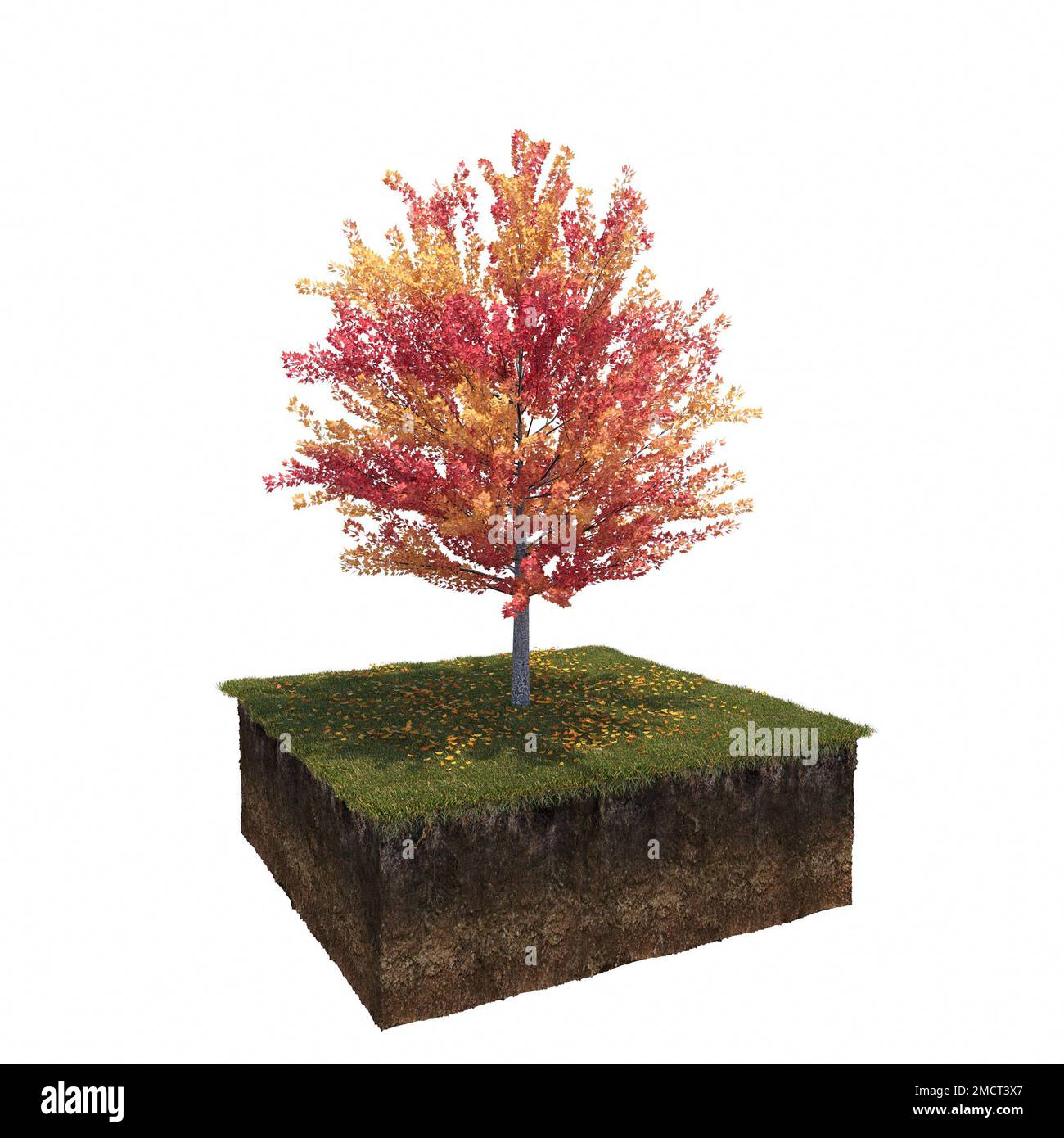 Autumn tree and soil cut under it. Isolated garden element, 3D ...
