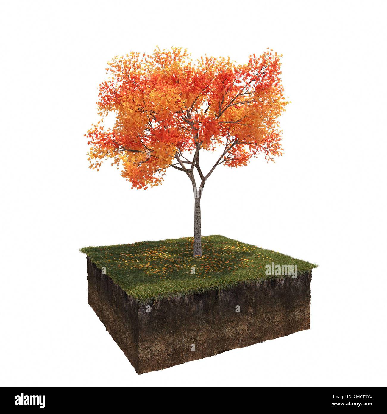 Autumn tree and soil cut under it. Isolated garden element, 3D ...