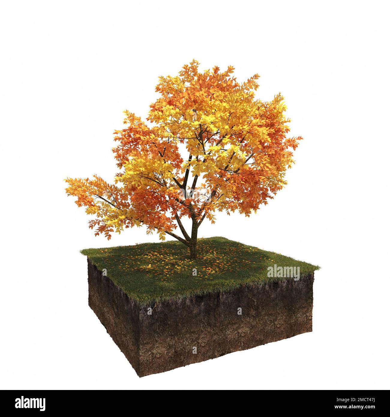 Autumn tree and soil cut under it. Isolated garden element, 3D ...