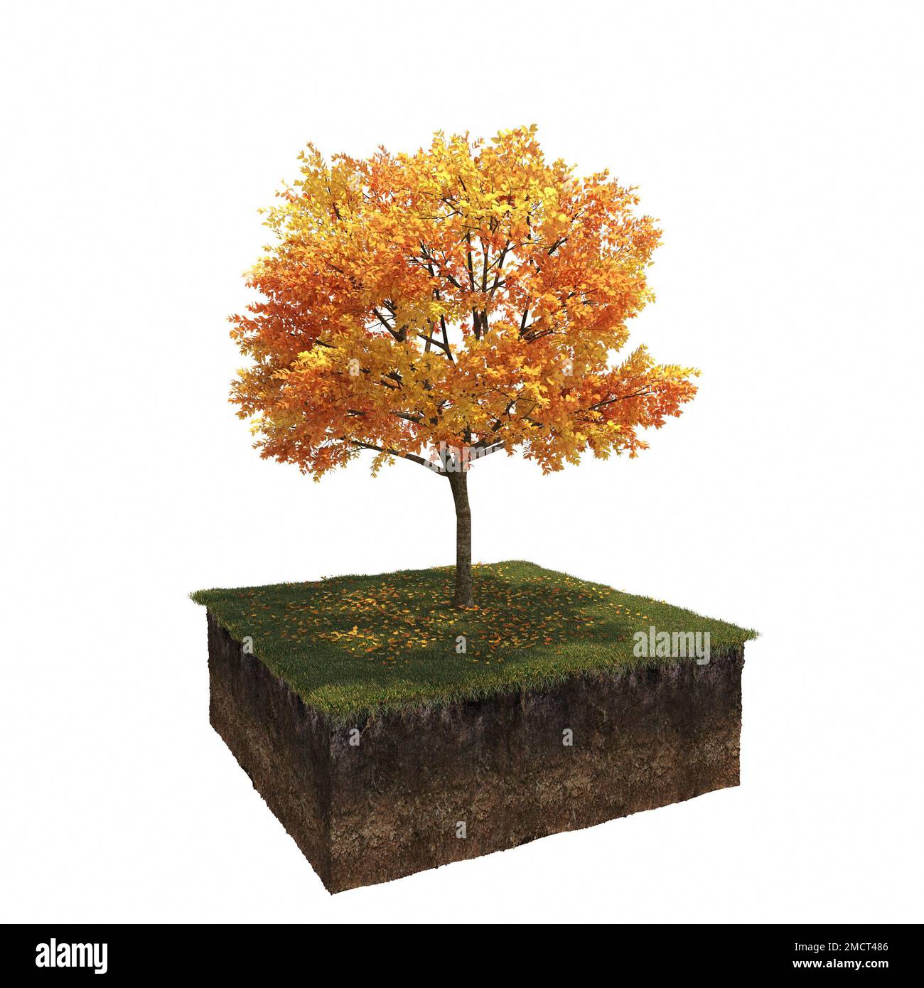 Autumn tree and soil cut under it. Isolated garden element, 3D ...