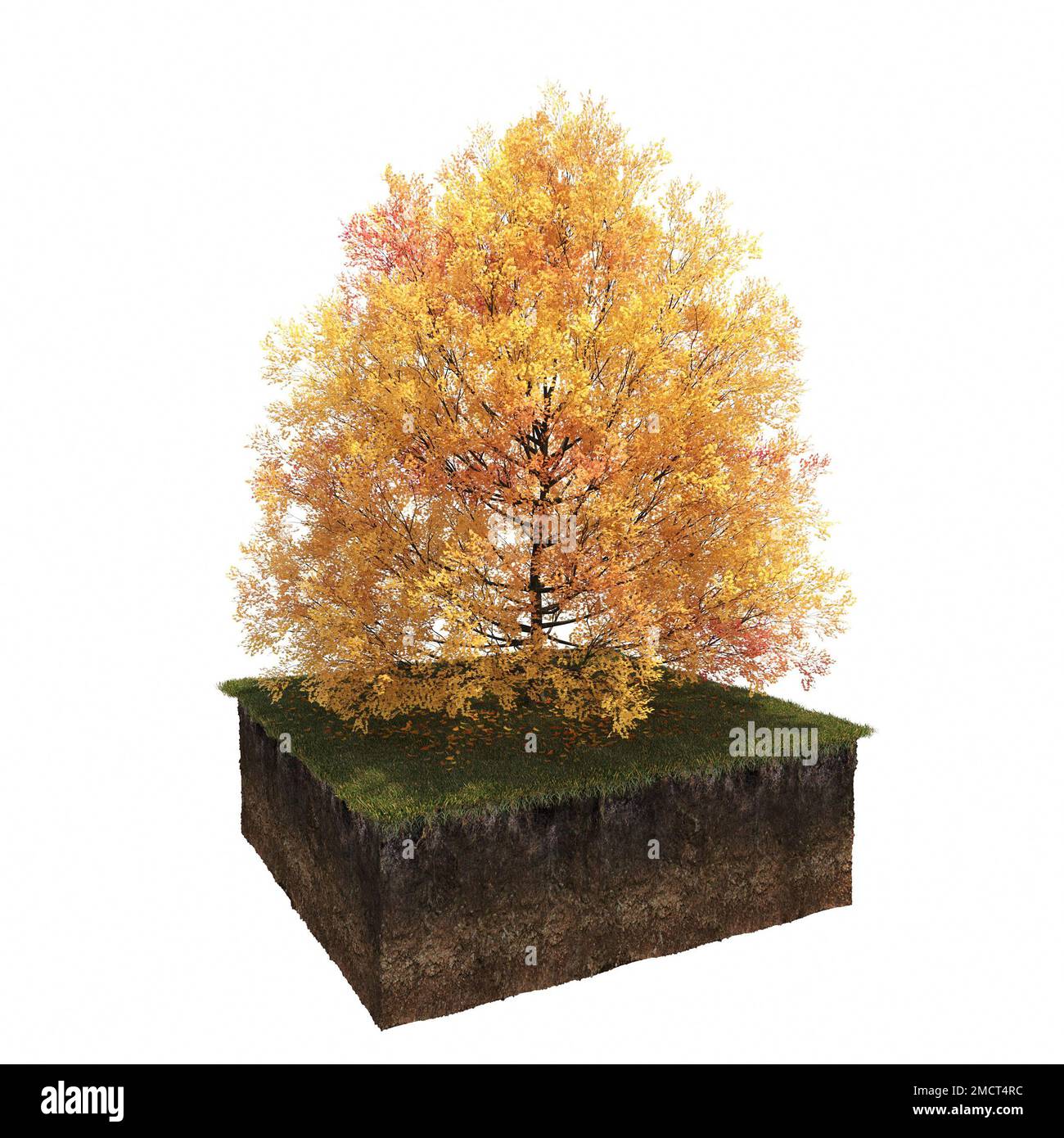 Autumn tree and soil cut under it. Isolated garden element, 3D ...