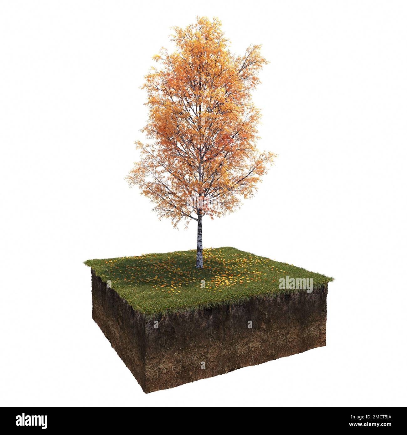 Autumn tree and soil cut under it. Isolated garden element, 3D ...