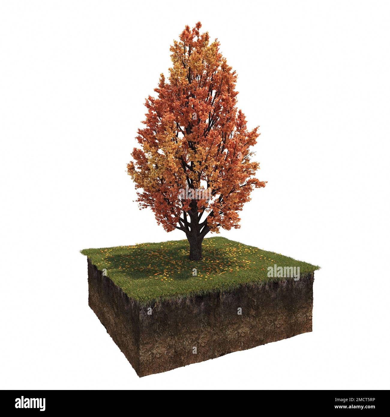 Autumn tree and soil cut under it. Isolated garden element, 3D ...