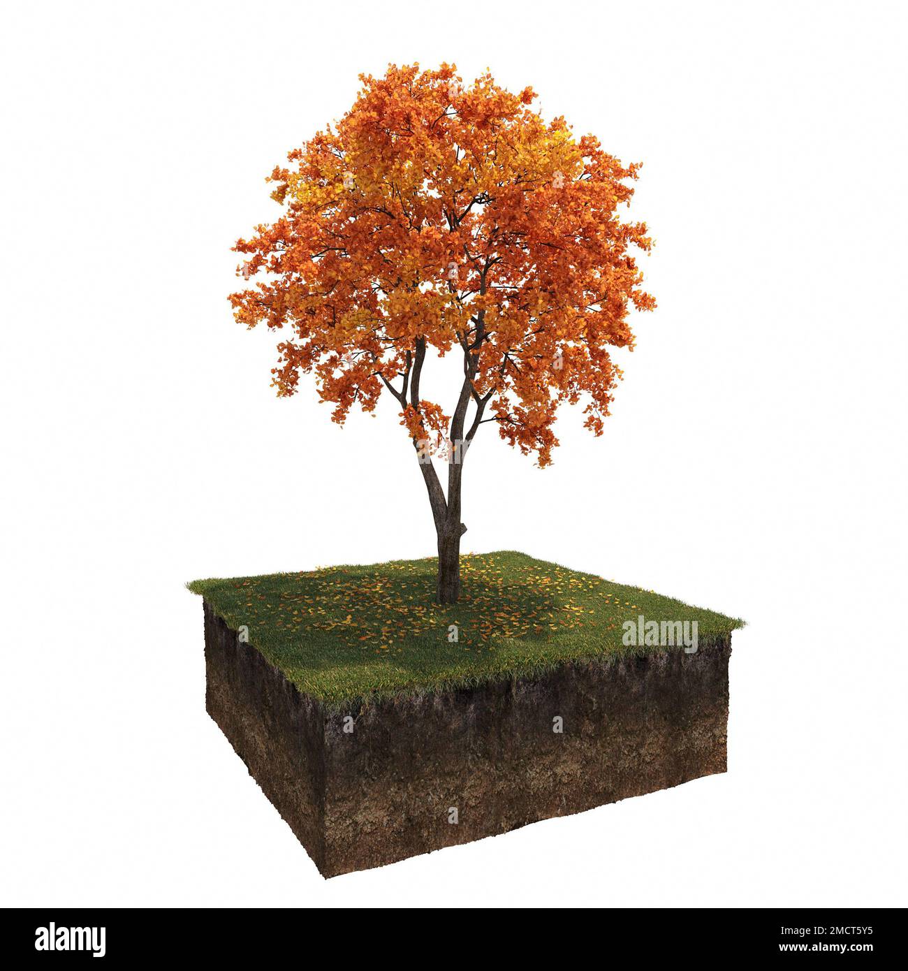 Autumn tree and soil cut under it. Isolated garden element, 3D ...