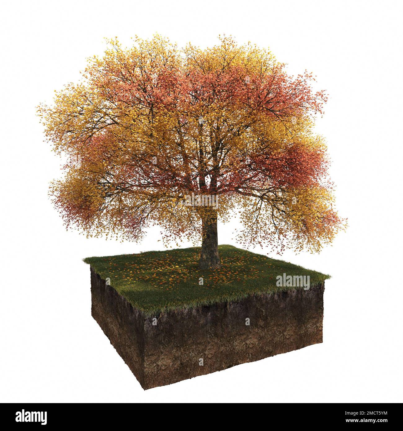 Autumn tree and soil cut under it. Isolated garden element, 3D ...