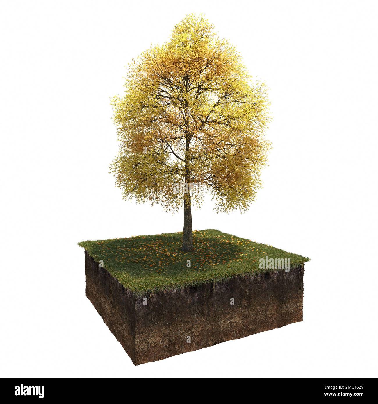 Autumn tree and soil cut under it. Isolated garden element, 3D ...