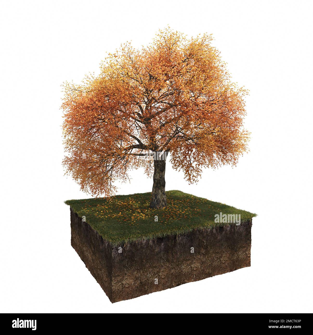 Autumn tree and soil cut under it. Isolated garden element, 3D ...
