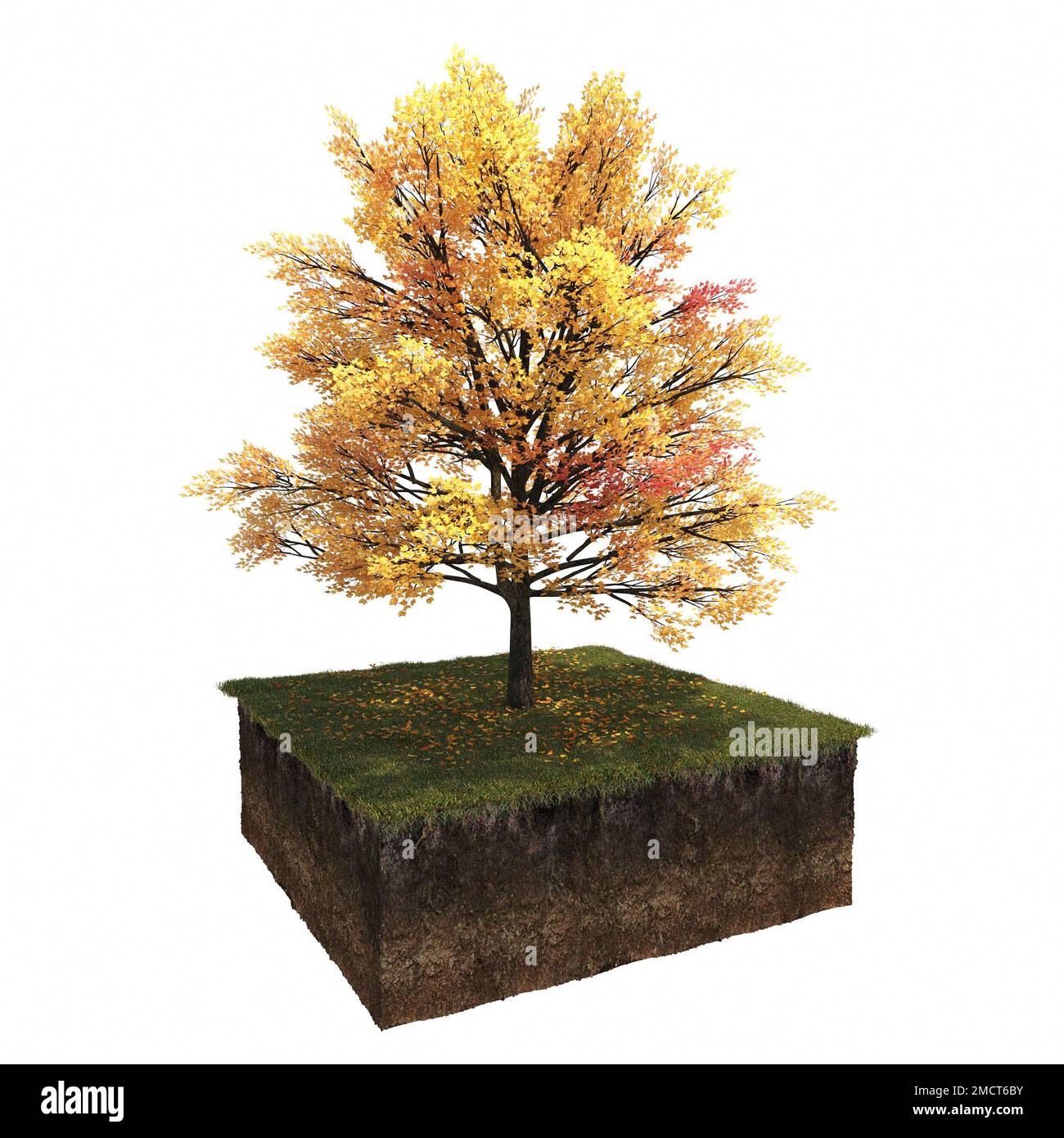 Autumn tree and soil cut under it. Isolated garden element, 3D ...