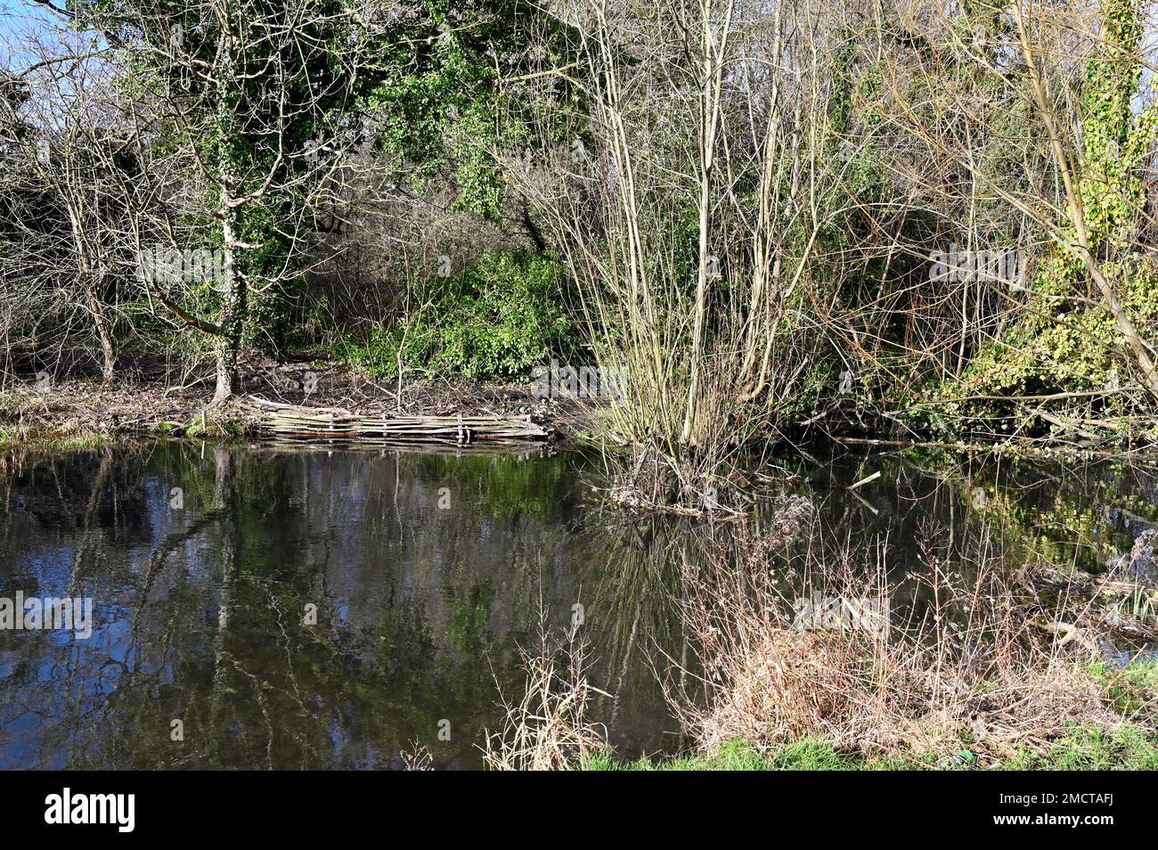 River Cray, Foots Cray Meadows, Sidcup, Kent. UK Stock Photo - Alamy