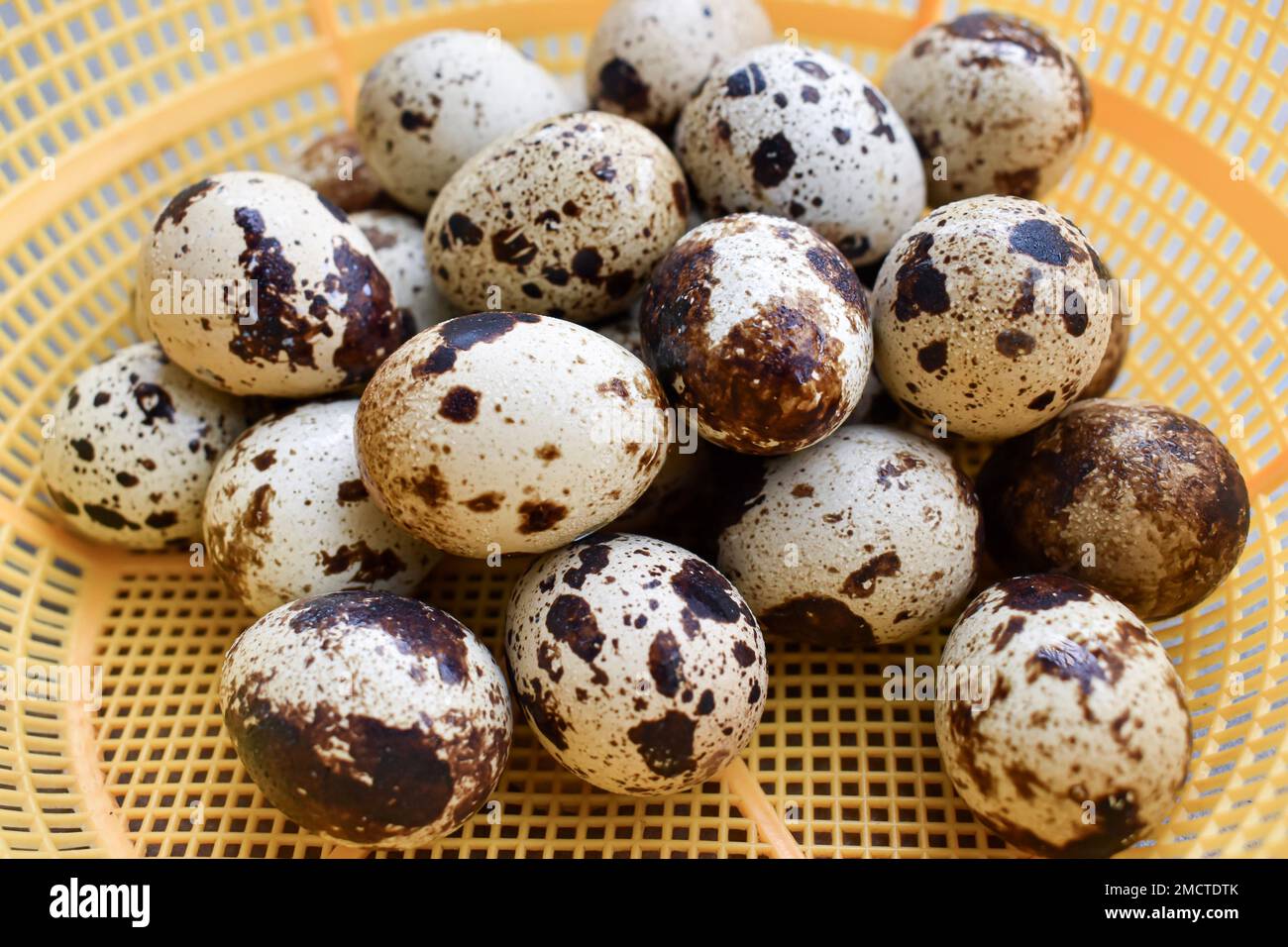 Top view of raw quail eggs. High protein rich food Stock Photo - Alamy