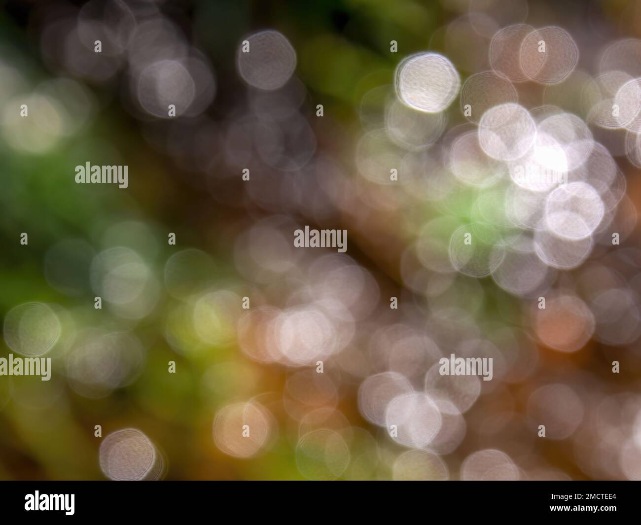 Unfocused Photography