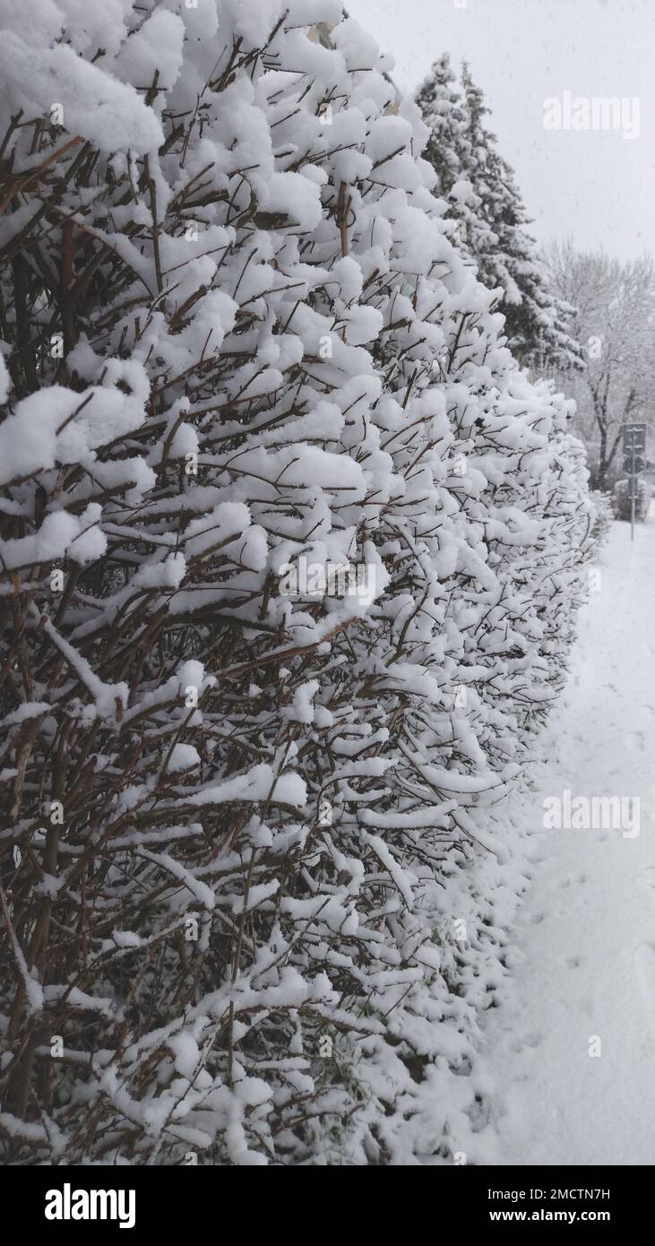 Rough hedge hi-res stock photography and images - Alamy