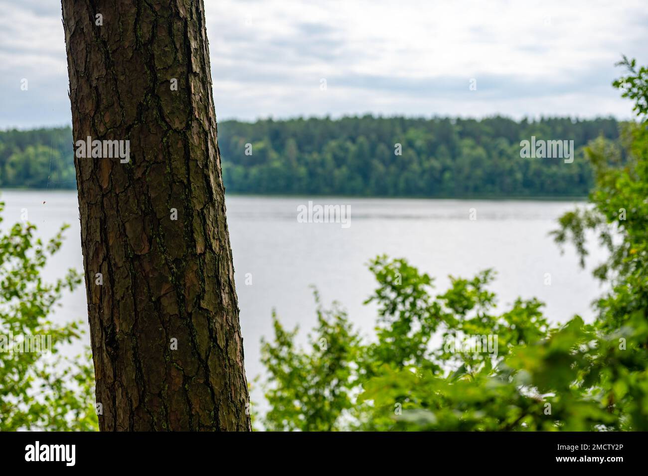 Asveja regional park hi-res stock photography and images - Alamy