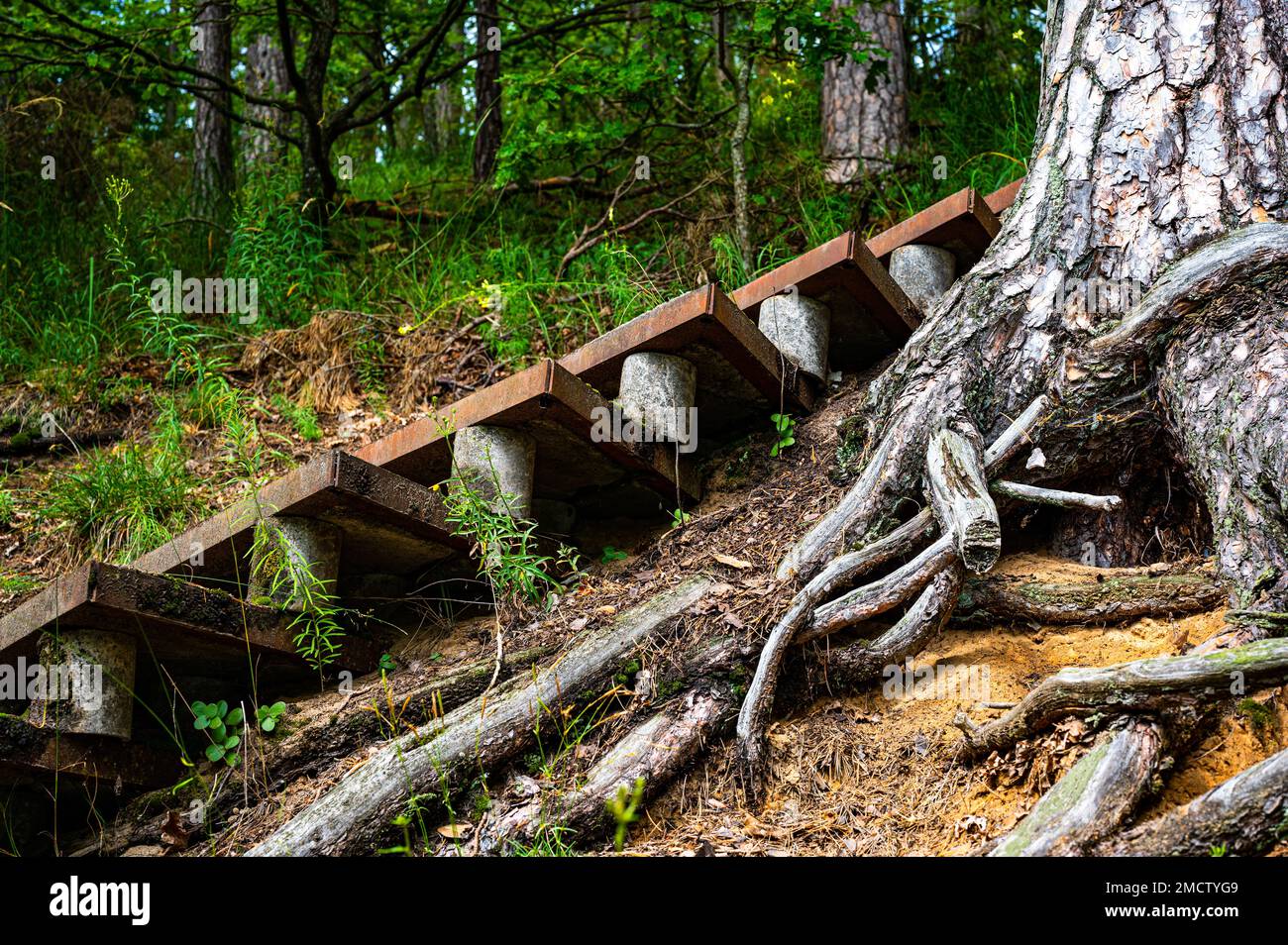 Rusty metal steps stairs on the slope in the forest. Curved Intertwined ...