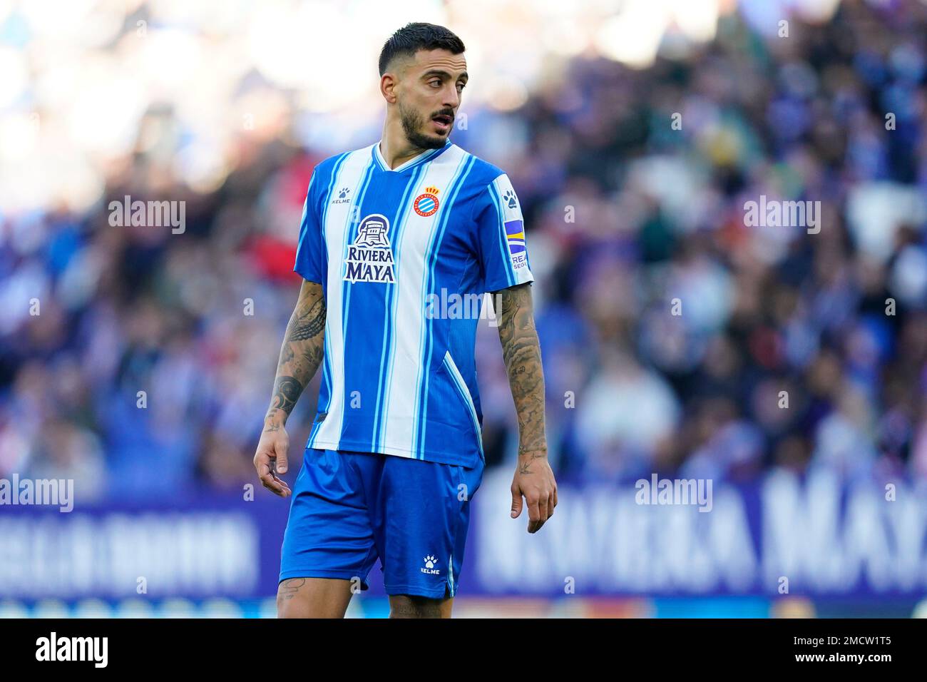 during the La Liga match between RCD Espanyol and Real Betis played at ...