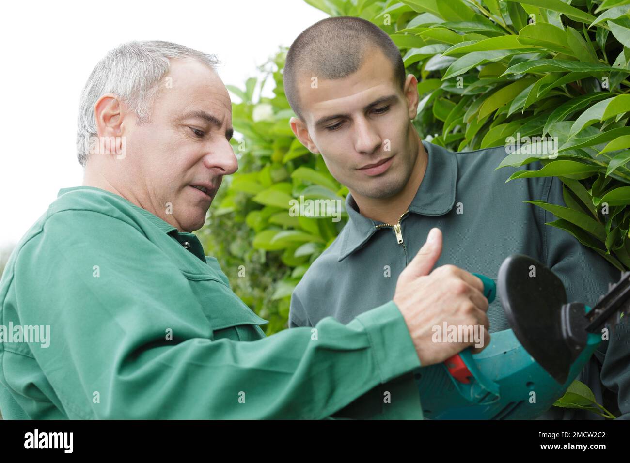 Two men inspect hi-res stock photography and images - Alamy