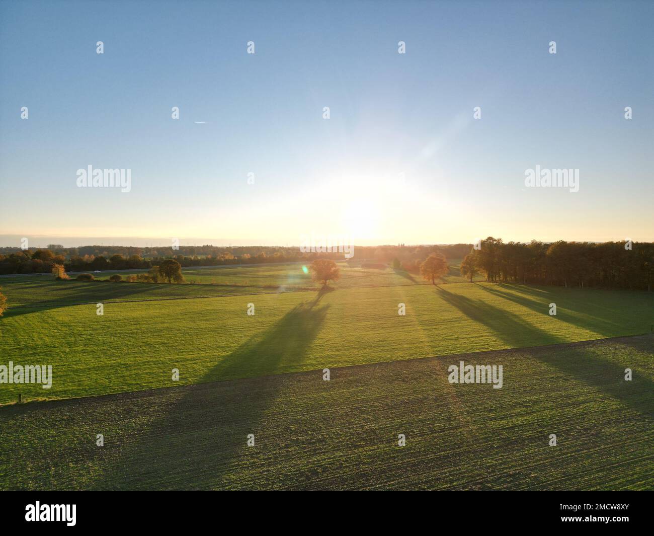 Scenic view greenfield forest hi-res stock photography and images - Alamy