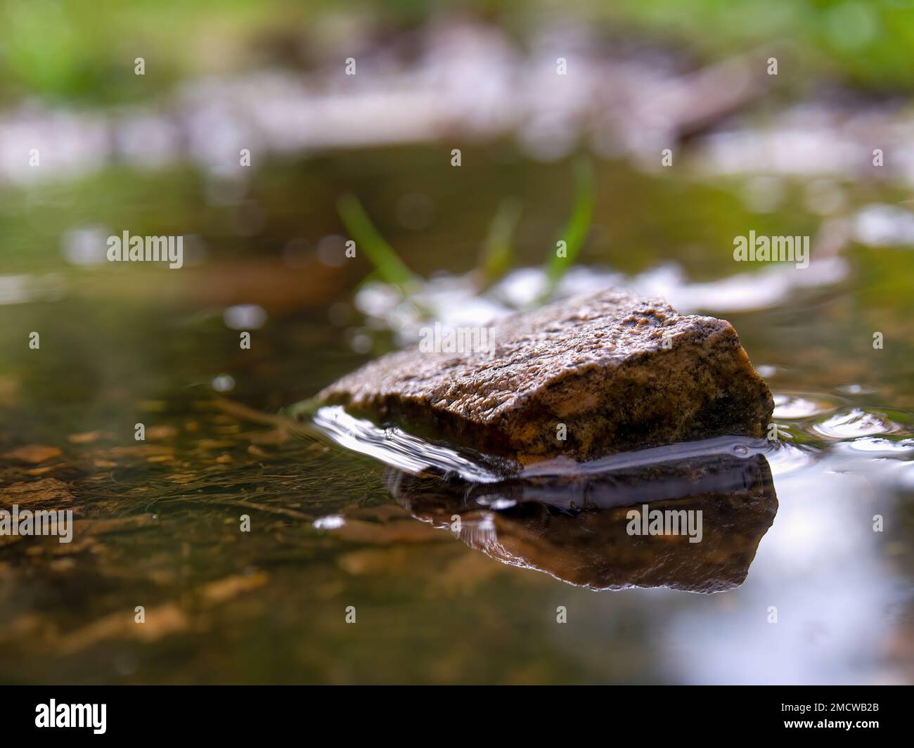 Macro photography of a pebble in a rain puddle, captured in a farm near ...