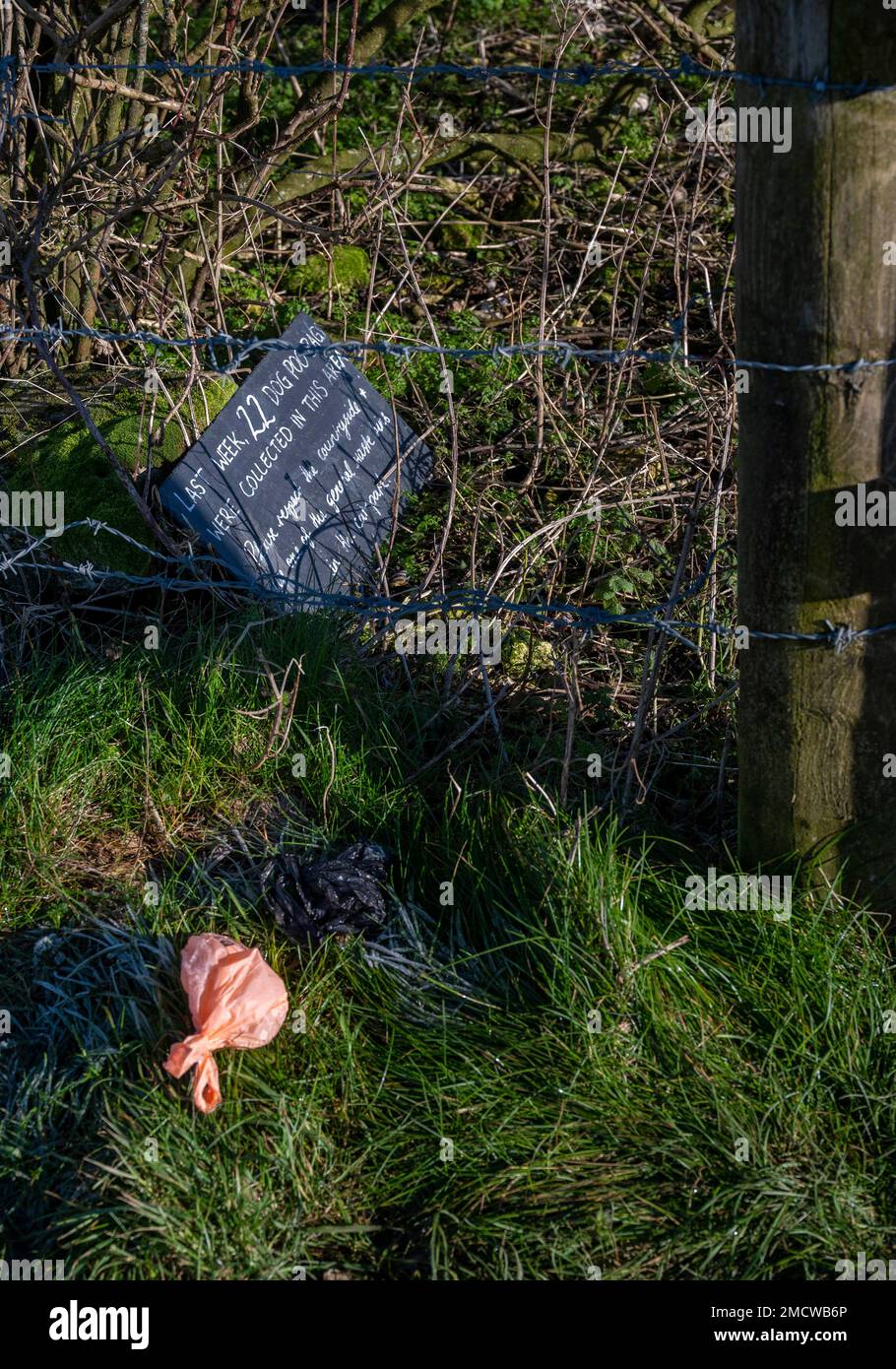 Beaty spot litter hi-res stock photography and images - Alamy