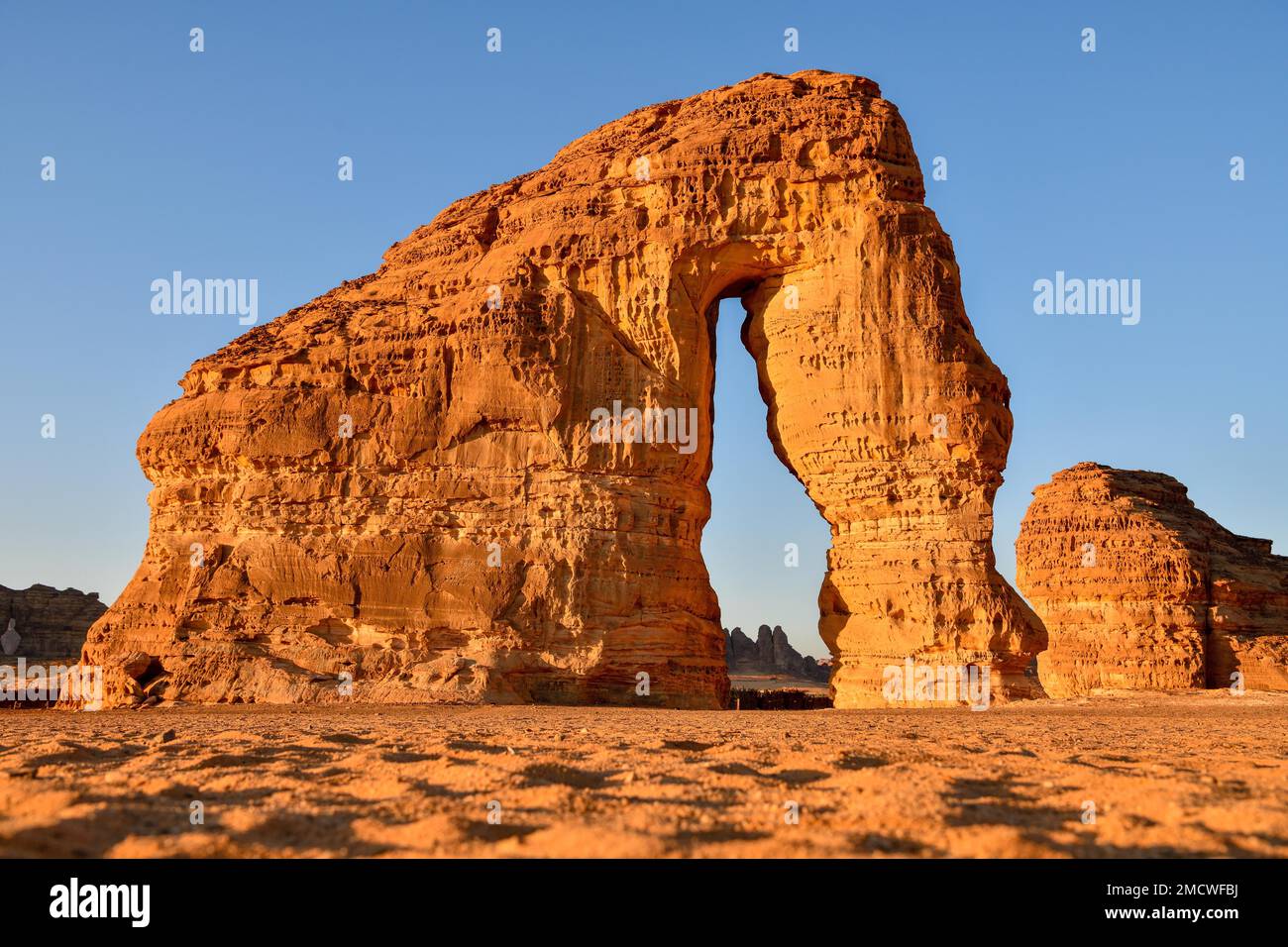 Elephant Rock or Elephant Rock in First Daylight, AlUla, Medina ...