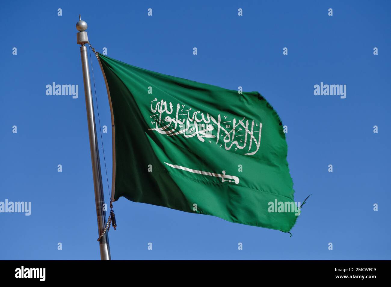 Arabian Flag