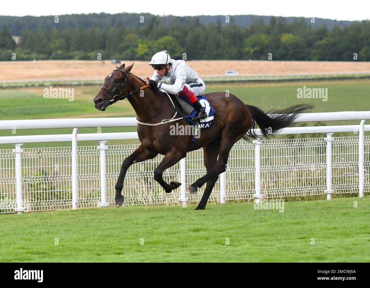 Goodwood race cup chesterfield cup hi-res stock photography and images ...