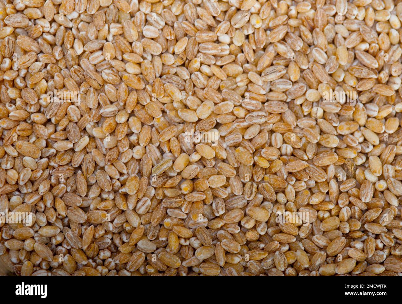 Closeup shot wheat grains hi-res stock photography and images - Alamy