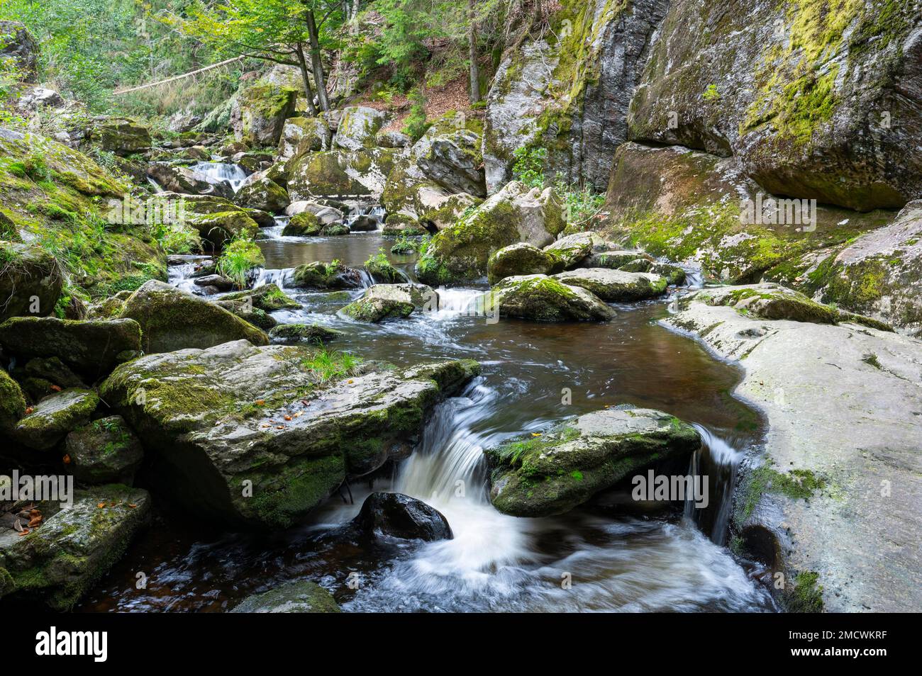 Stone Gorge, Rocks, Water, Forest, Bavarian Forest, Bavaria, Germany ...
