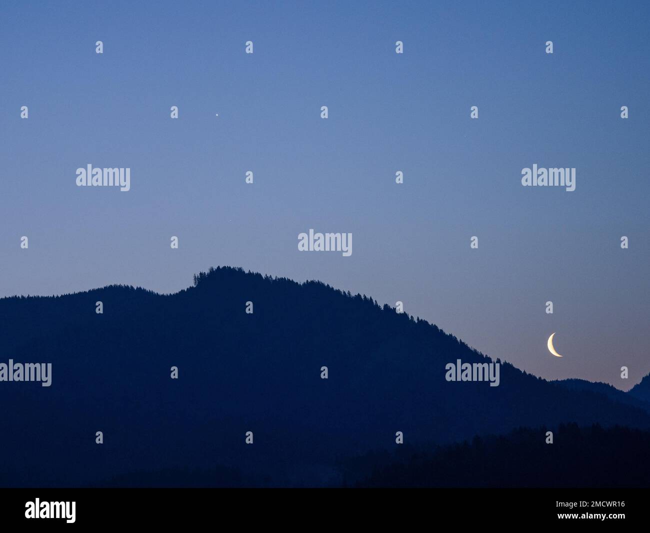 Moon forest austria hi-res stock photography and images - Alamy