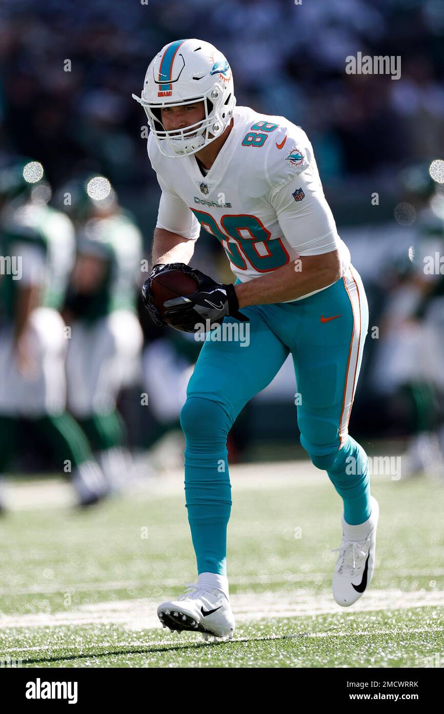 Miami Dolphins tight end Mike Gesicki (88) warms up before an NFL ...