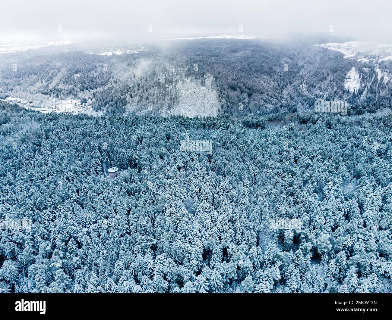 Aerial view of forest in snow during bad weather, Unterhaugstett, Black ...