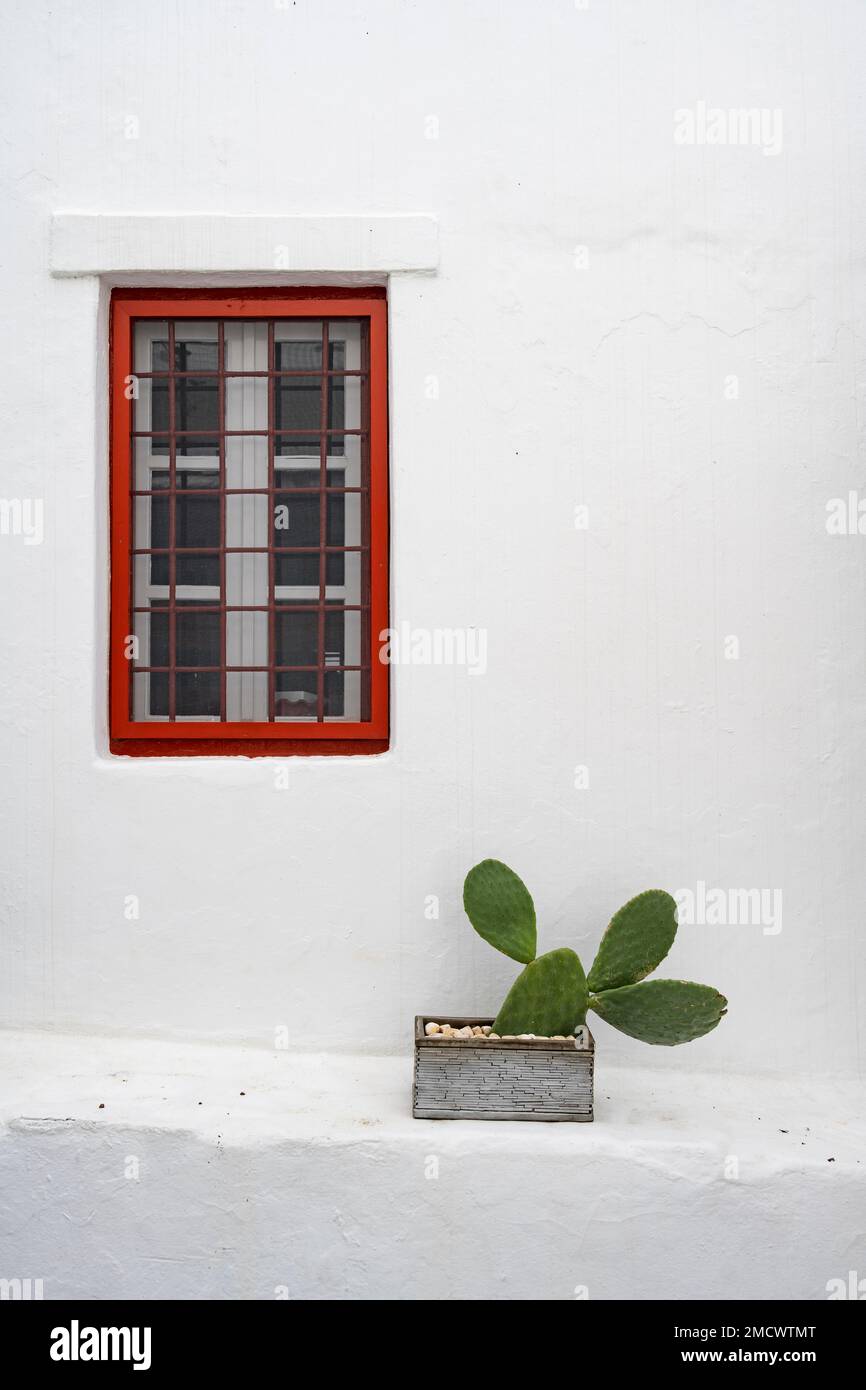 Red window and cactus in front of white house wall, house facade ...