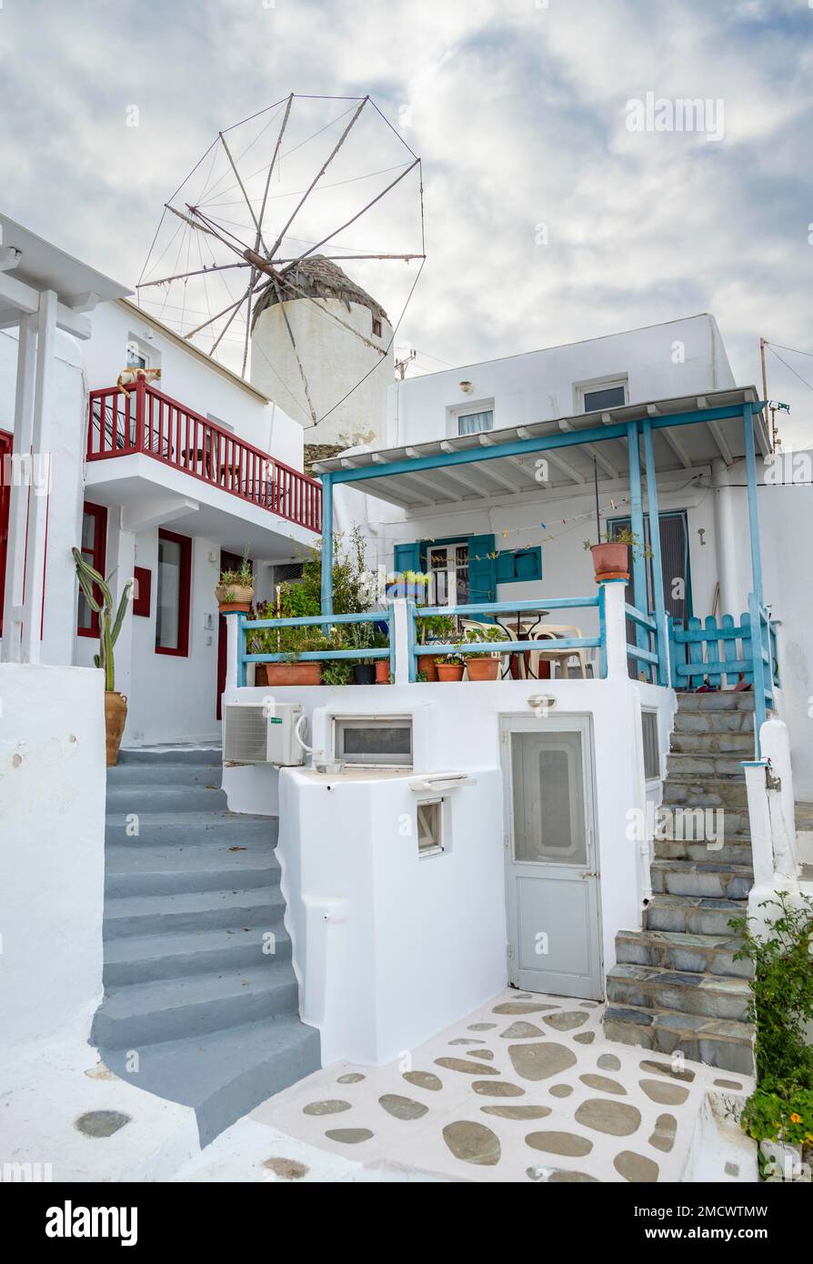 White Cycladic houses, windmill in the back, Mykonos, Cyclades, Aegean ...