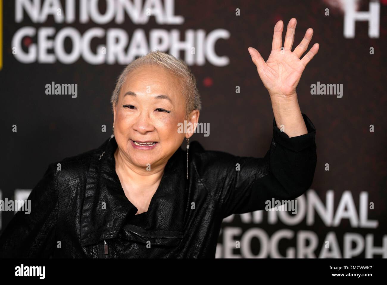 Lori Tan Chinn attends the premiere of National Geographic's "The Hot ...