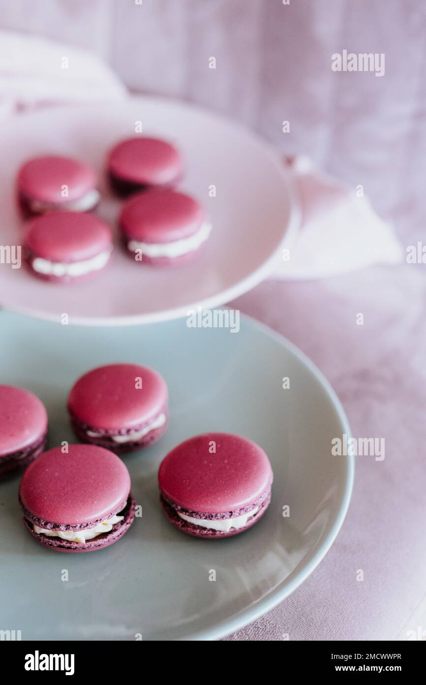 Macrones hi-res stock photography and images - Alamy