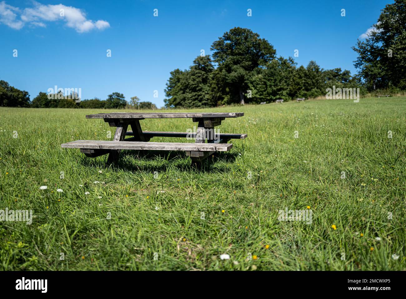 A park bench with table invites you to take a rest in a meadow Stock ...