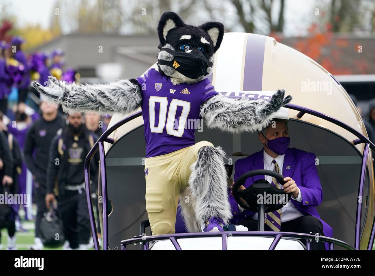 Washington mascot Harry the Husky wears an oversized mask while ...